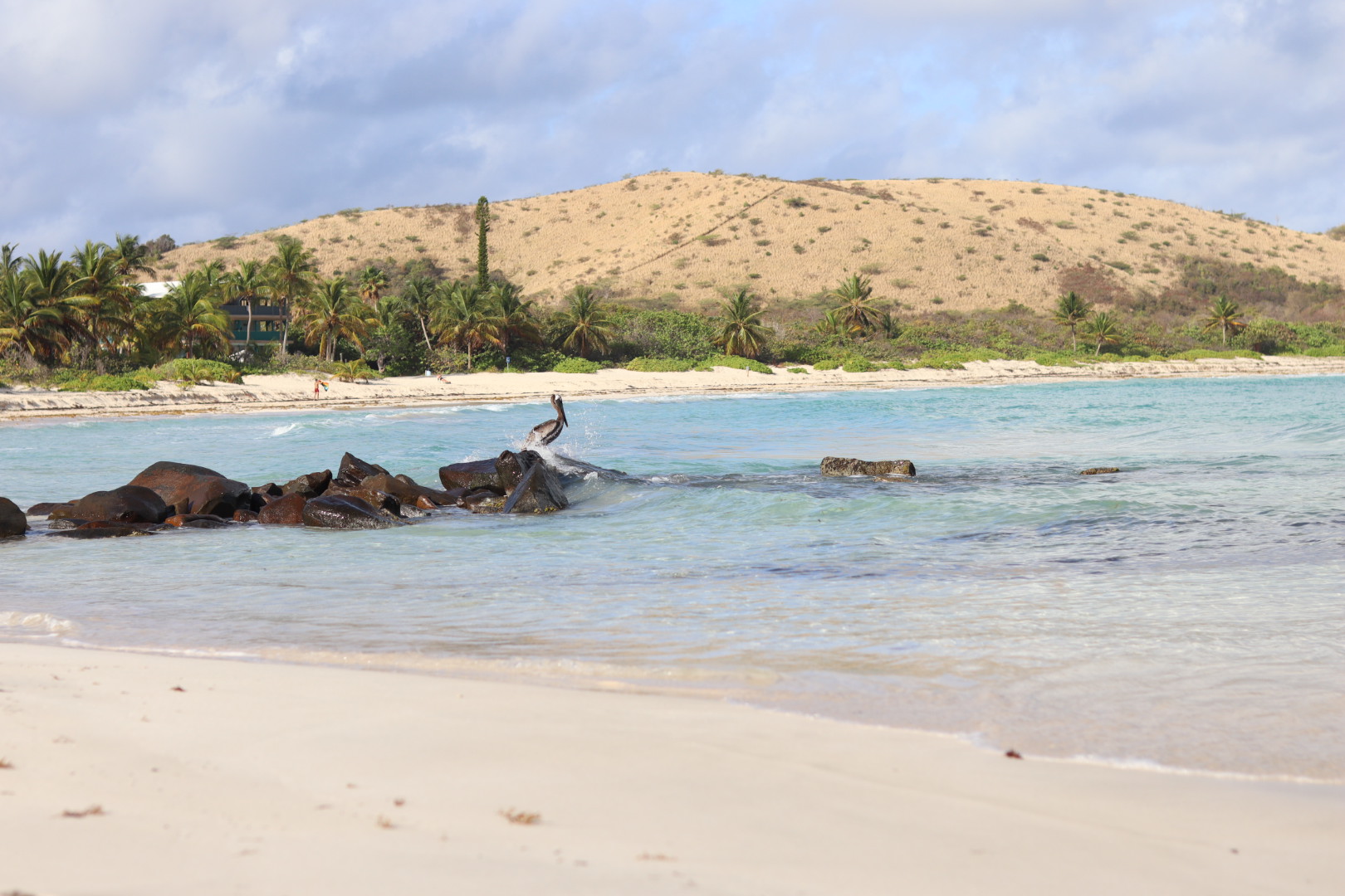 Culebra Island Puerto Rico - Work Travel and Take photos